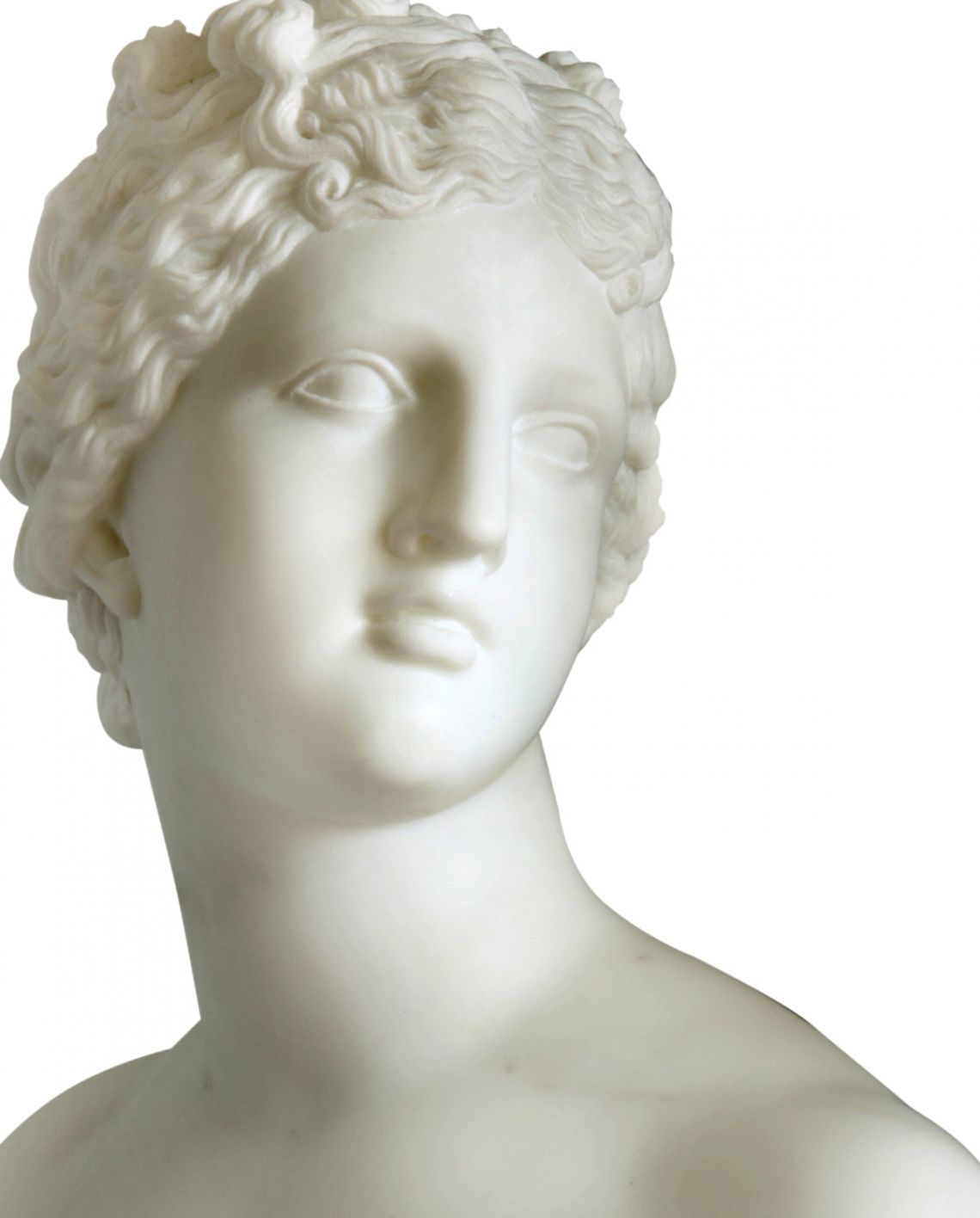 Busto Venere dei Medici - Galleria d'Arte Pietro Bazzanti & figlio