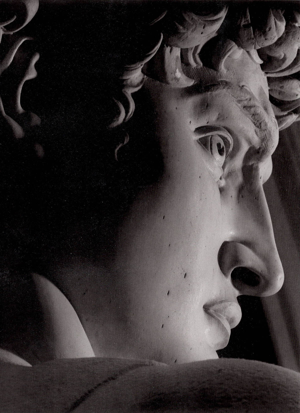 Michelangelo and the David - Part II - Bazzanti Art Gallery Firenze